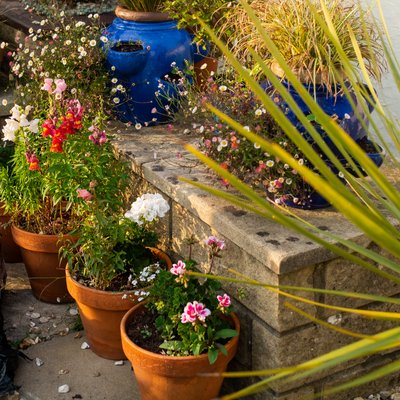 BYOB - Coffee & Brunch, Jacobs Roof Garden, Cardiff, 6 June 2024 ...