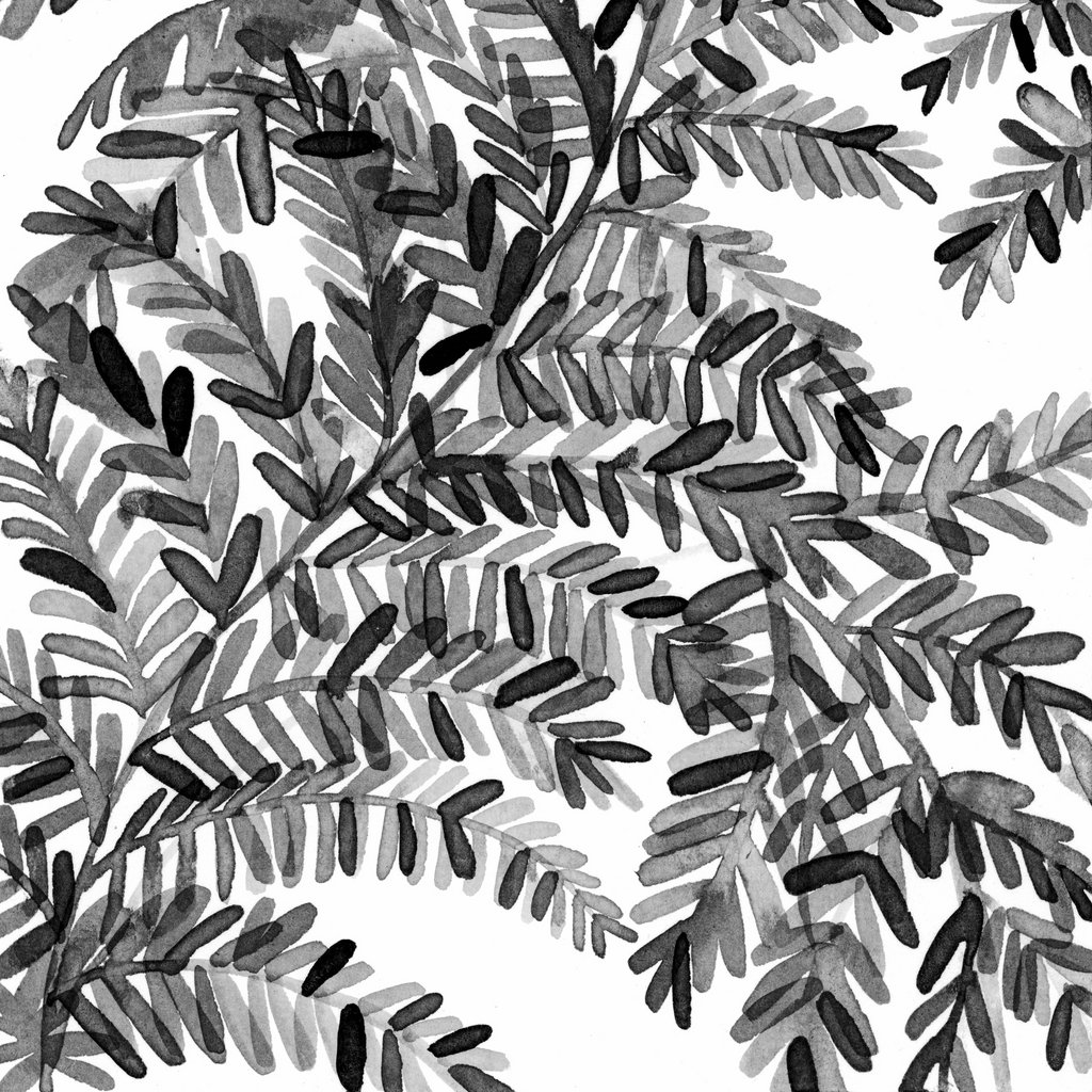 Hebble + Songs For Walter + Poppy Holmes - 25 MAR 2023